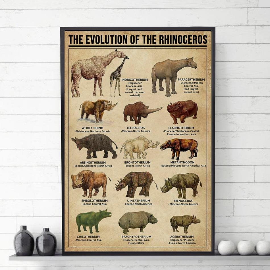 The Evolution Of The Rhinoceros poster canvas